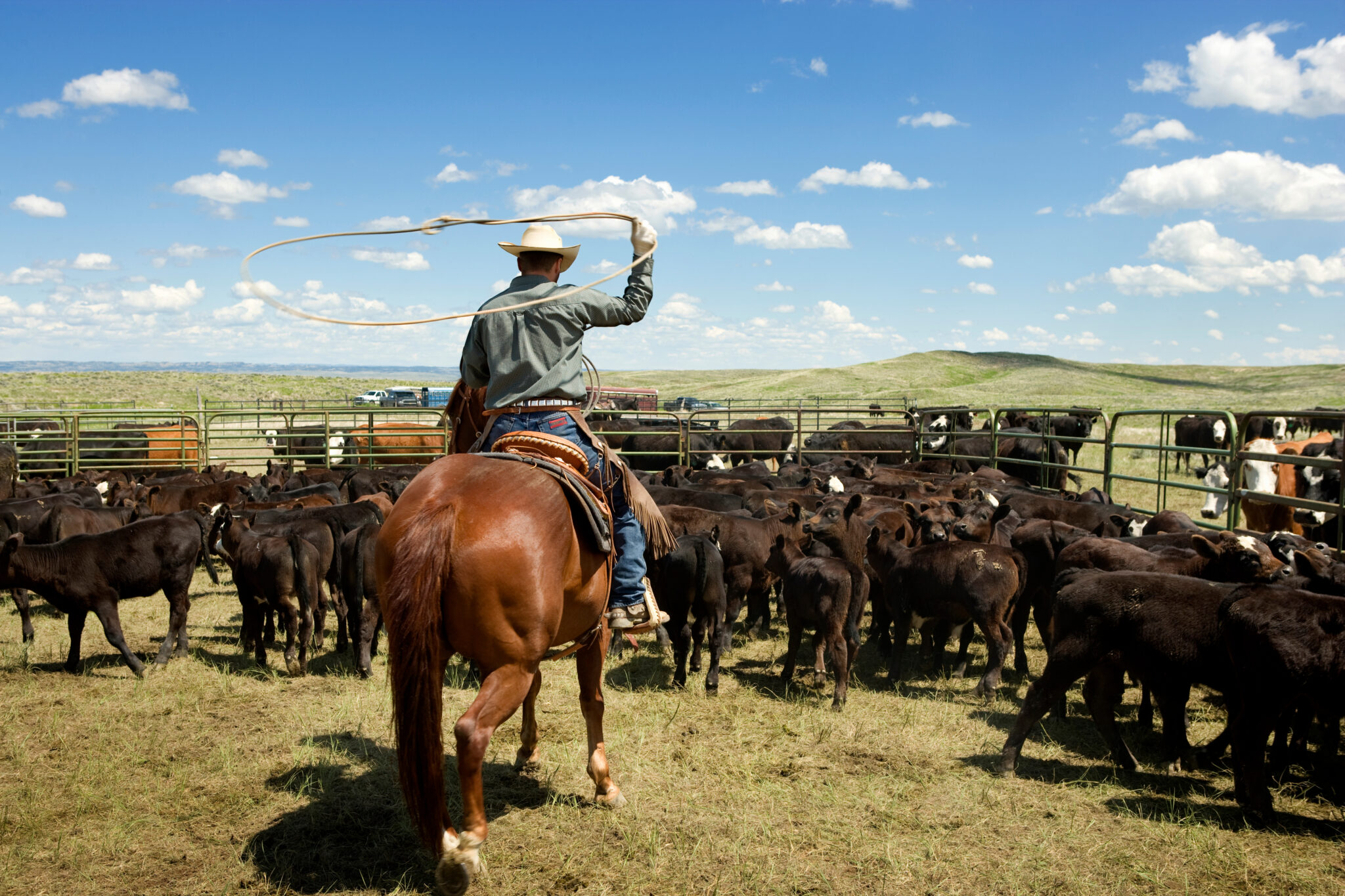 Dr. Thomas Byrne | OB/GYN Educator & Ultrasound Pioneer